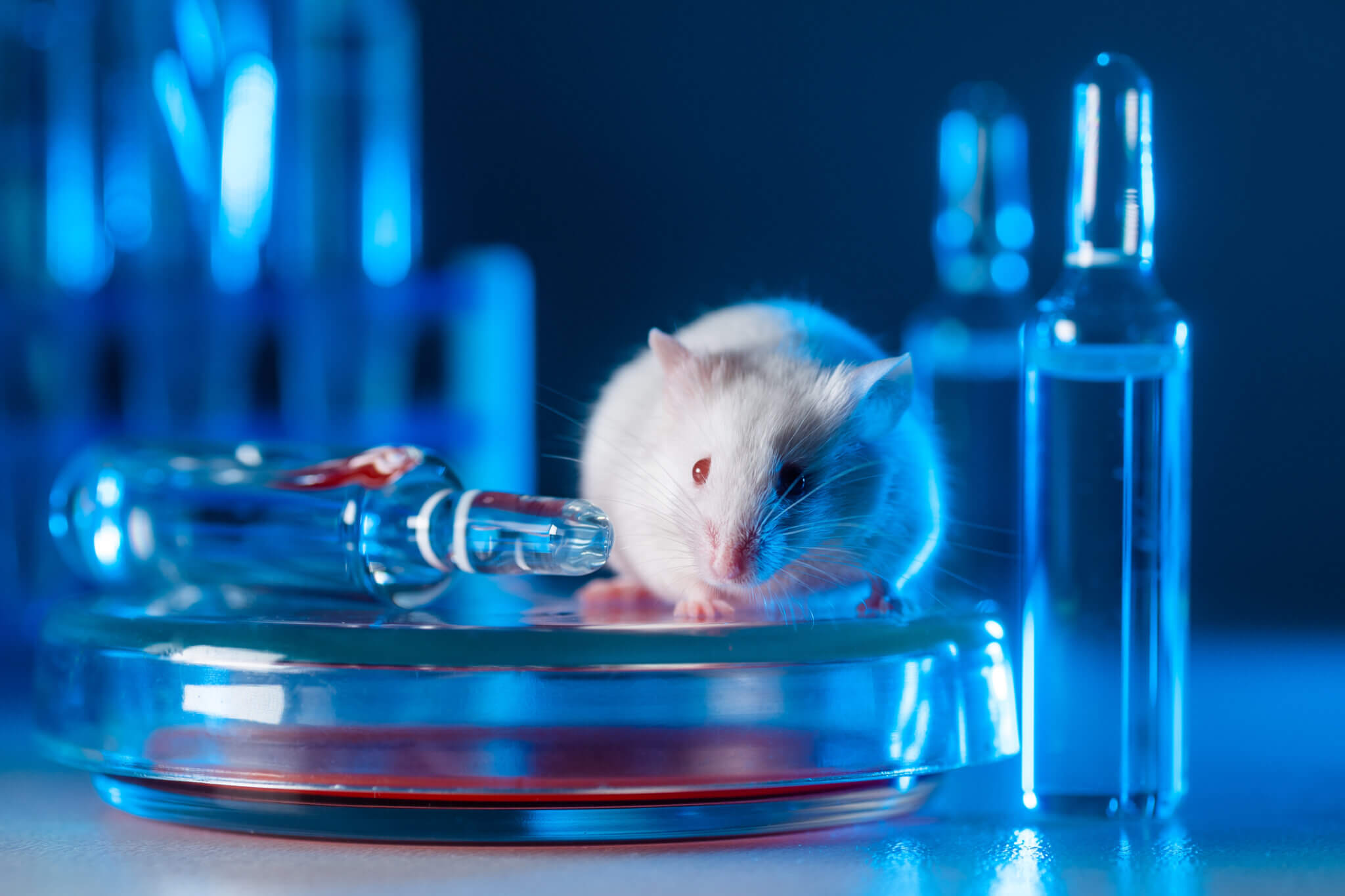 Why We Haven't Cured Cancer Yet - Science Advancement and Outreach Division